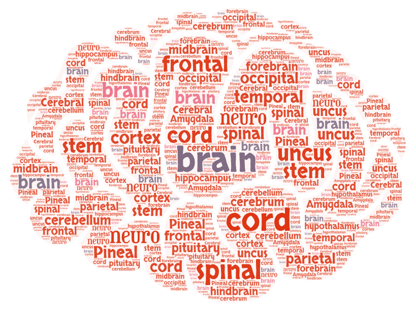 brain art – WordArt.com