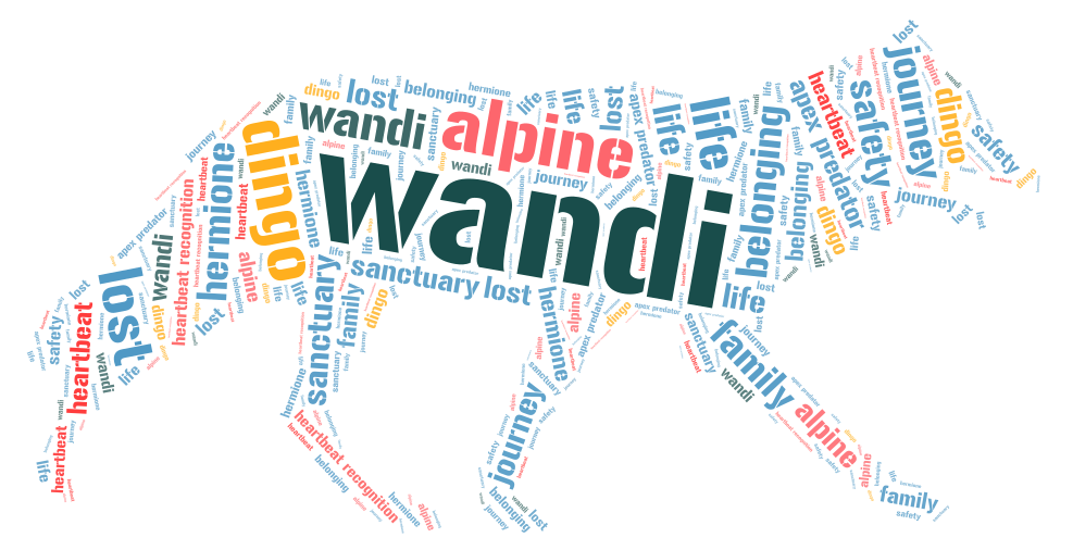 wandi – WordArt.com