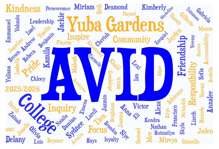 AVID Shirt – WordArt.com