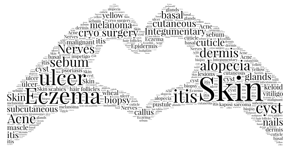 Skin – WordArt.com