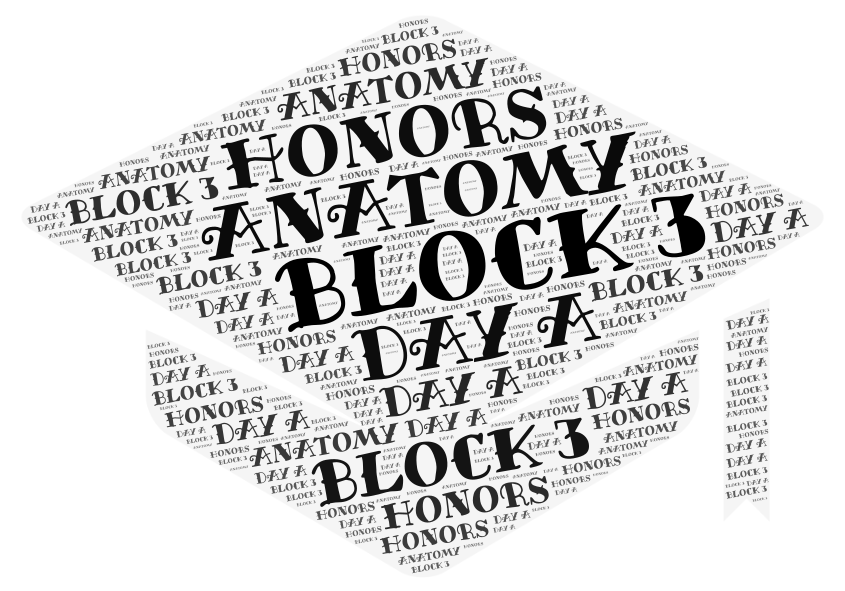ANATOMY BLOCK 3, DAY A – WordArt.com