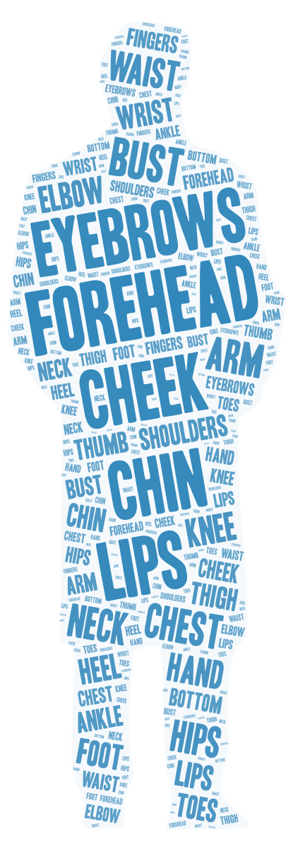 Parts of the body – WordArt.com