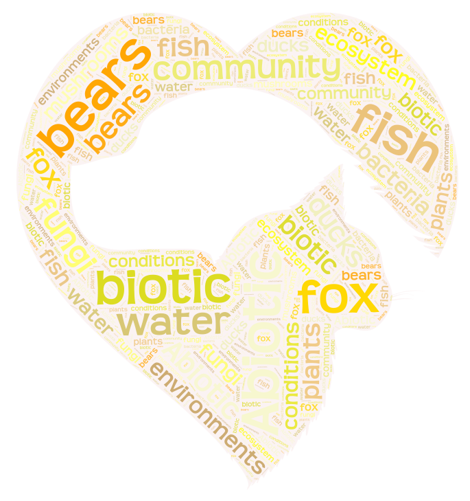 Word Art project – WordArt.com